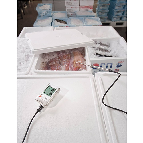 Jual Temperature Data Logger TESTO 175 T2